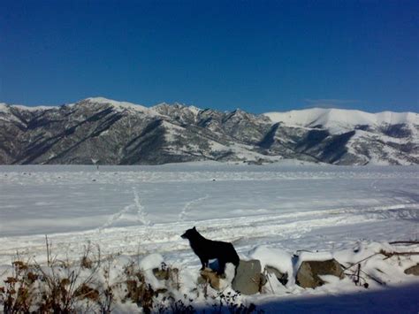 Գրականություն 9 րդ դասարան 7 02 2023 — Հայոց լեզու գրականություն