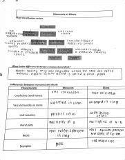 Monocots Vs Dicots Understanding The Differences In Plant Course Hero