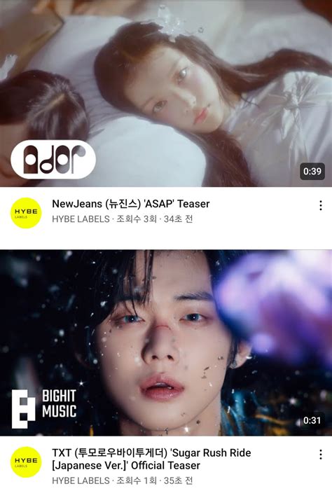 [잡담] 아 하이브 고양이들에게 꼬심 당했어요 인스티즈 instiz 연예 카테고리