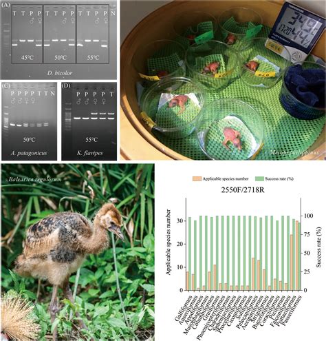 Zoo Biology Zoology Journal Wiley Online Library