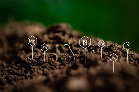 Soil Testing Images Browse Stock Photos Vectors And Video Adobe Stock