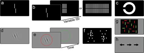 Perceptual Tasks A Vernier Duration B Visual Backward Masking Download Scientific