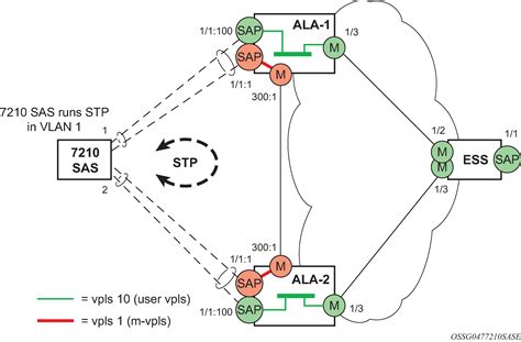 Virtual Private Lan Service