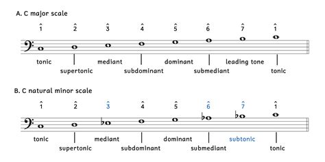 Names Of Scale Degrees What Are The Scale Degree Names
