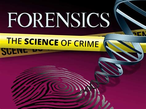 The Ultimate Guide To Forensic Science Fundamentals And Investigations