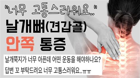 네이버 인플루언서