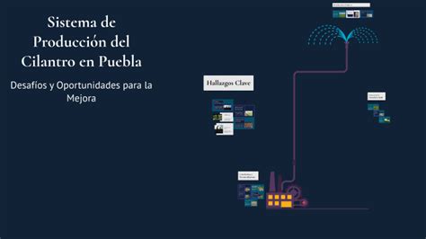 Sistema De Producción Del Cilantro En Puebla By Ariel Maza On Prezi