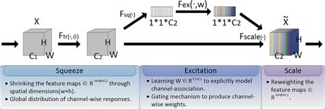 Specific Network Structure Of The Squeeze And Excitation Se Attention