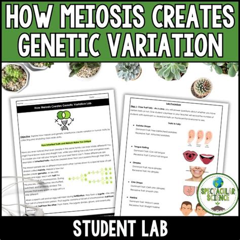 How Meiosis Creates Genetic Variation Lab Spectacular Science