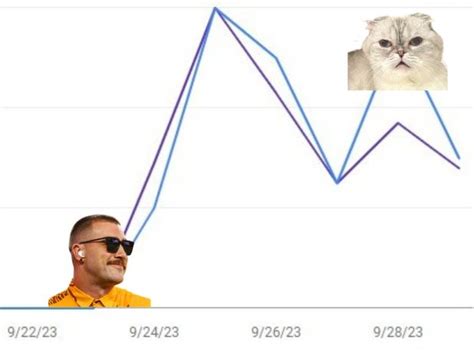 does travis kelce like cats taylor swift fans are googling to find out