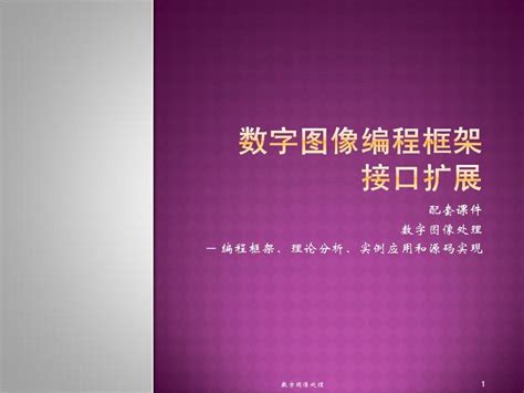 数字图像处理 数字图像编程框架接口扩展word文档在线阅读与下载无忧文档
