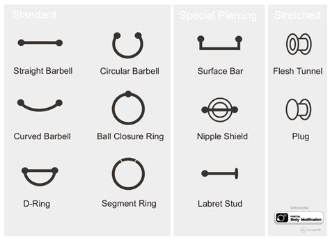 Genital Piercing Types