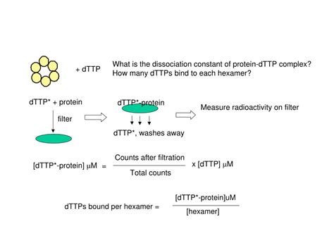 PPT Ligand Binding Basis For Enzyme Specificity And Molecular Recognition PowerPoint