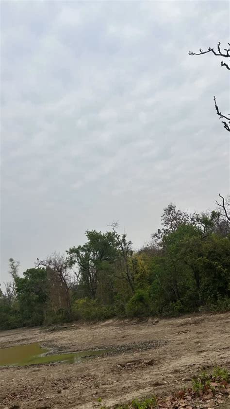 Smitha Gopalakrishnan Drsmitharaghu • Instagram Photos And Videos