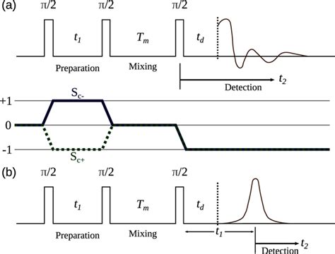 Focus Two Dimensional Electron Electron Double Resonance And Molecular