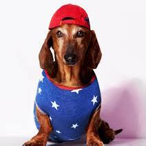 EASYCNC ONLINE SHOPPING EASYCNC ONLINE SHOPPING