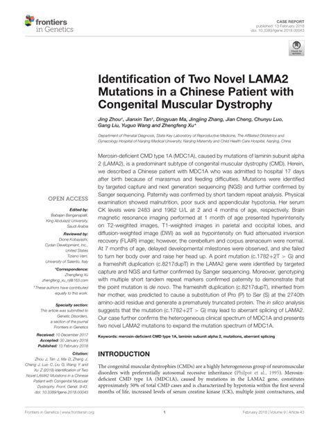 Pdf Identification Of Two Novel Lama2 Mutations In A Chinese Patient With Congenital Muscular