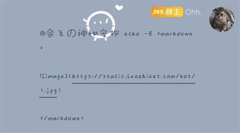 echo发送markdown图片发送不了 交流讨论 koishi forum