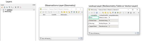 Attribute Table Automatic Fill In Of Columns In Qgis Geographic