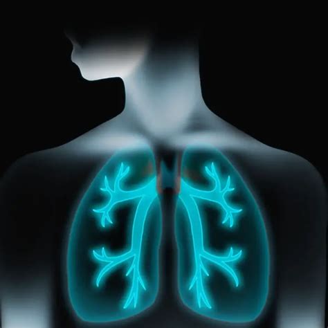 SHOPEE BUDOL FINDS Portable OLED Digital Screen Oximeter Features Specs Price Newspapers