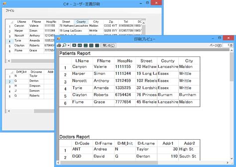 Spread For Windows Forms（日本語版）