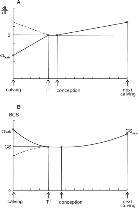 Graphical Representation Of A Simple Model To Predict Bcs Patterns