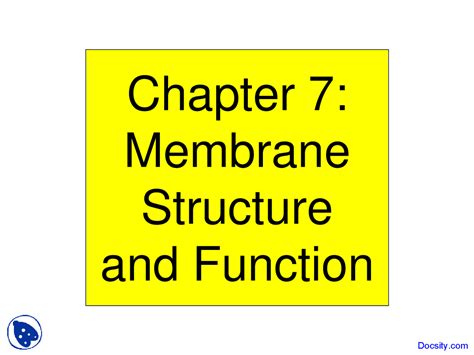 Membrane Structure And Function Introduction To Biology Lecture
