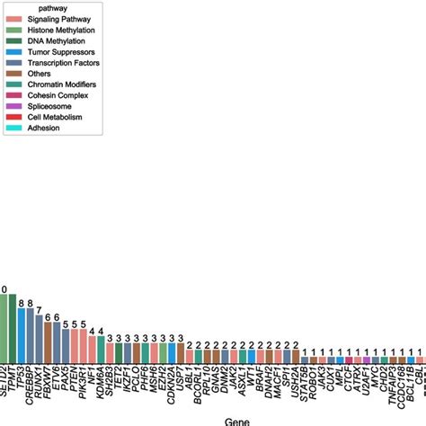 The Landscape Of Gene Mutations Identified By Next Generation