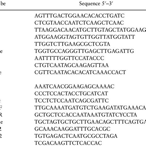 Primers And Probes Used In Real Time Pcr Assays To Detect Presence Of