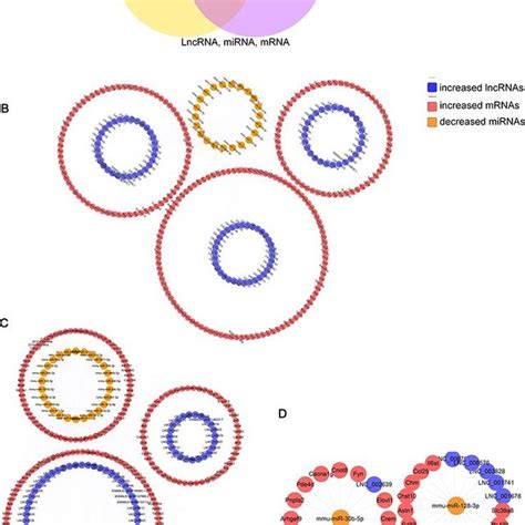 The Workflow Of Rna Seq Details Of The Methods Used For Mrna Seq