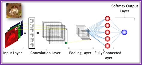 Friendly Introduction To Deep Learning Architectures Cnn Rnn Gan