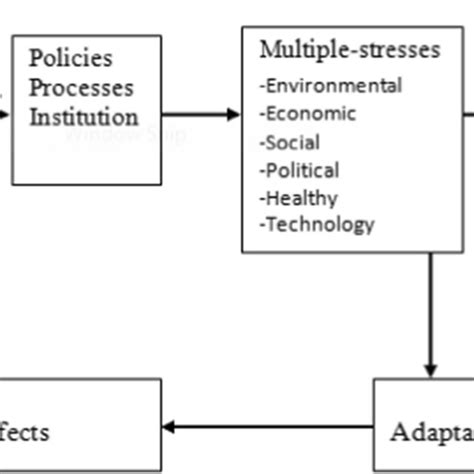 Sustainable Livelihood Framework Source Modified From Dfid 1999 Download Scientific Diagram