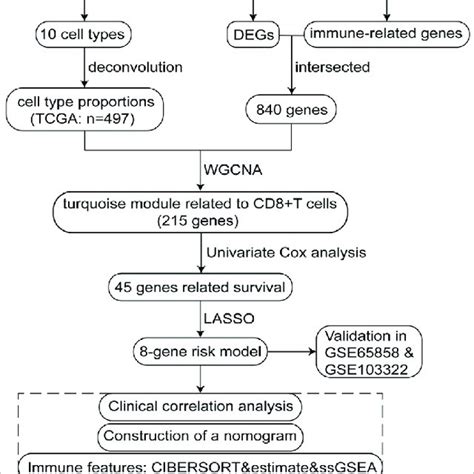 Flow Chart Schematic Of This Study Download Scientific Diagram