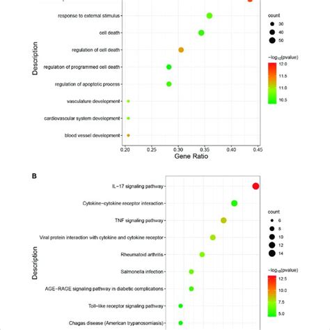 Analysis Of Functional Enrichment For Intersecting Common Genes A