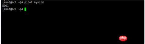 Linux如何查看mysql是否启动? Csdn博客 Linux如何查看mysql是否启动? Csdn博客