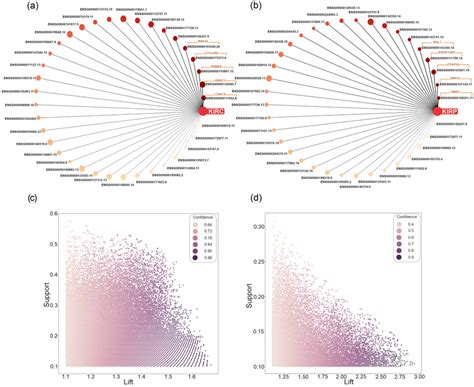 the kirc kirp association rules in the mrna data graph network of a