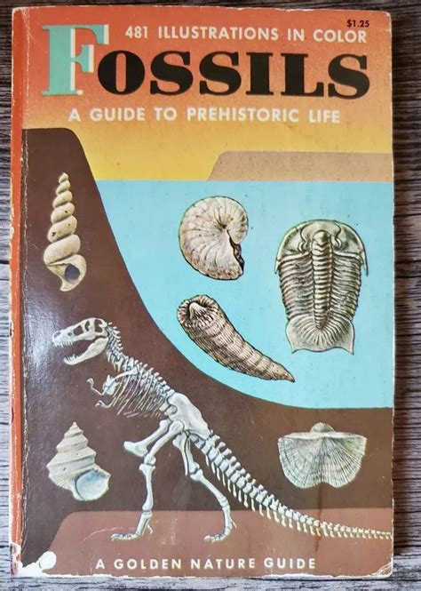 What Are Fossils And How Are They Formed Learn About 44 Off