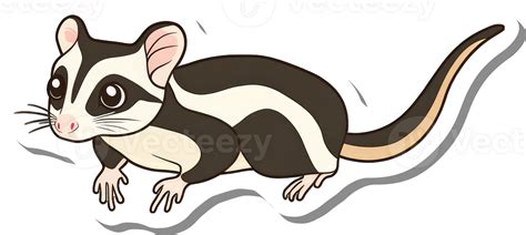 Adorable Sugar Glider Sticker Cartoon Illustration 55492123 Png