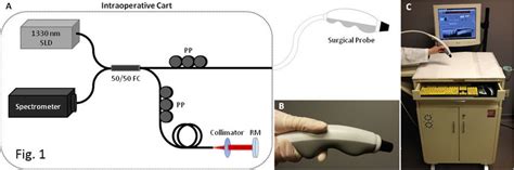 Handheld Surgical Imaging Probe And Portable Oct System For In Vivo Download Scientific Diagram