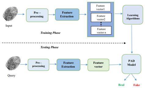 liveness detection definition and overview — antispoofing wiki