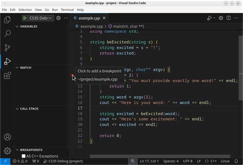 Cs35 Using Gdb In Vscode