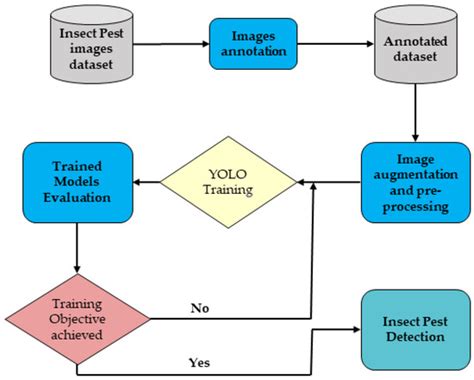 deep learning based detector yolov5 for identifying insect pests