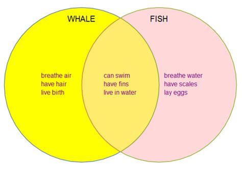 🆚what Is The Difference Between Diagram And Chart And Graph And