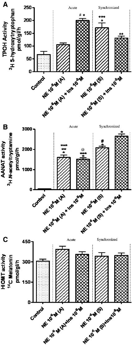 Acute A And Synchronized S Protocol Stimulation Melatonin Values Download Scientific