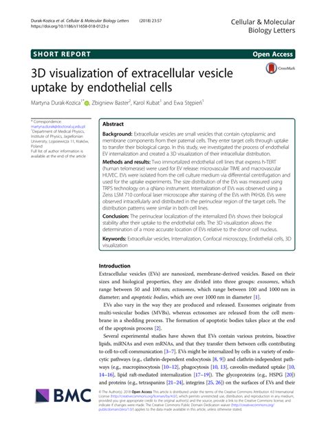 Pdf 3d Visualization Of Extracellular Vesicle Uptake By Endothelial Cells