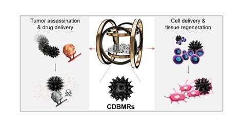 Biohybrid Magnetic Microrobots For Tumor Assassination And Active Tissue Regeneration Acs