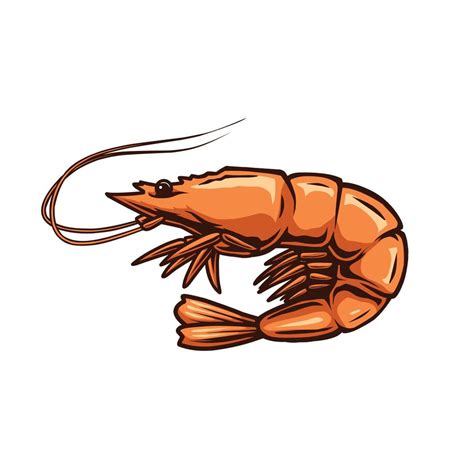 Shrimp Vector Design 13724707 Vector Art At Vecteezy