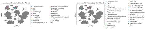 Mapping Data To The Human Lung Cell Atlas For Joint Analysis And Cell Type Label Transfer