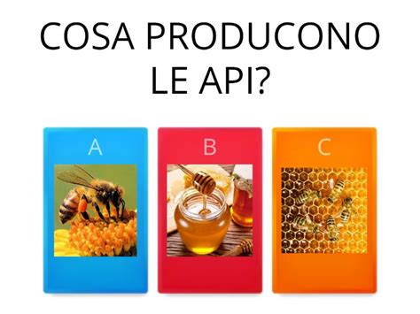 API Quiz