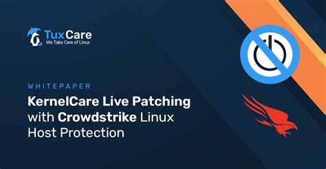 Esteban M En Linkedin Linux Tuxcarejapan Crowdstrike
